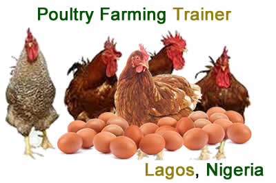Farming Consultant, Training Services in Lagos, Nigeria